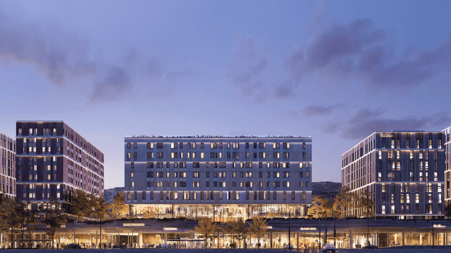 "We are building a city within the city"